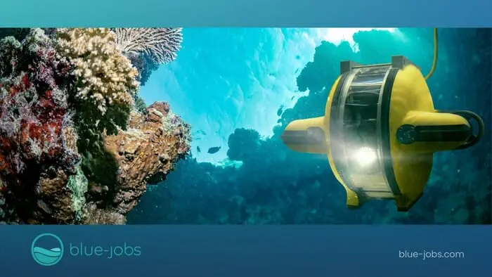 How Drones and Underwater Robotics Are Revolutionizing Marine Science ...